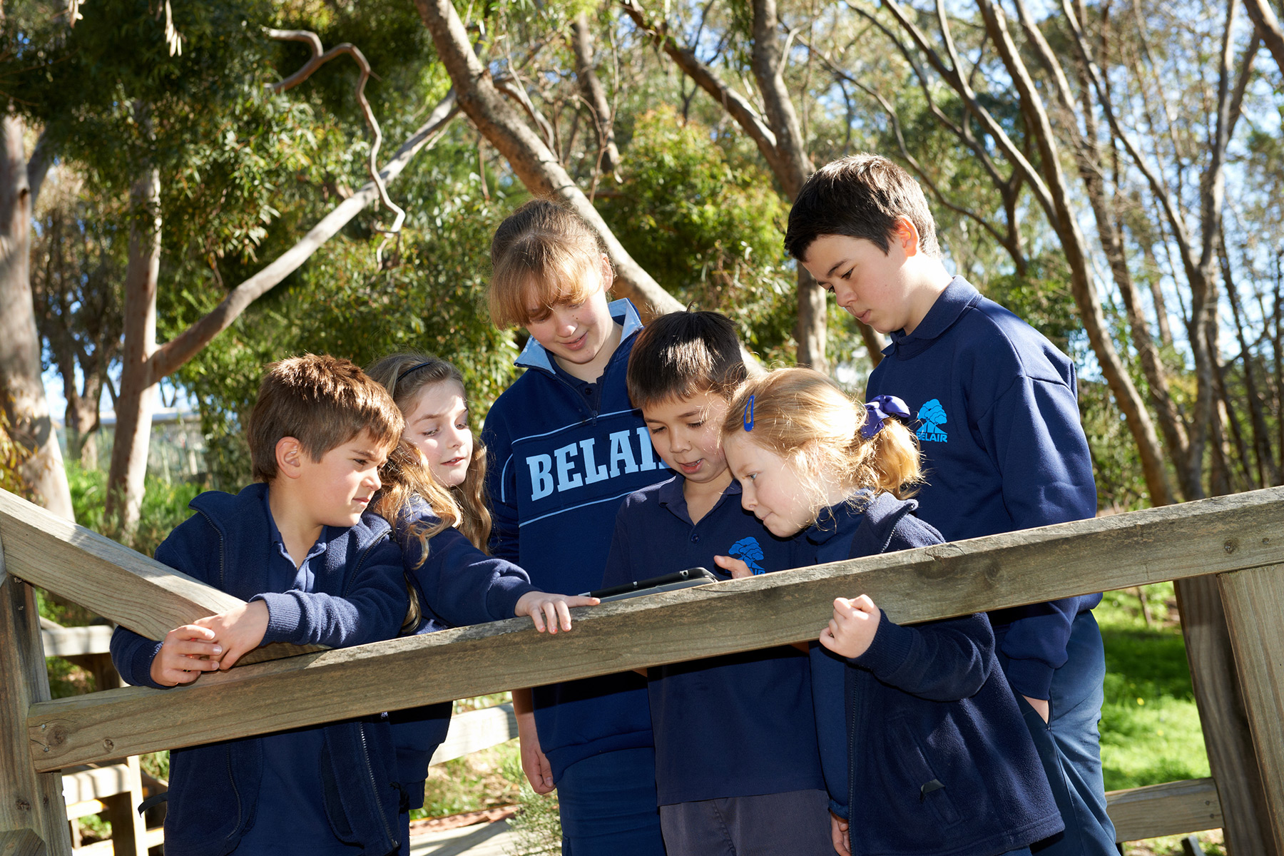 Belair Primary School - Primary school in Belair, South Australia