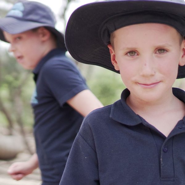 Belair Primary School - Primary school in Belair, South Australia